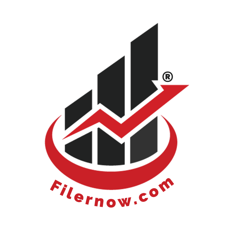File Now form - FilerNow.com
